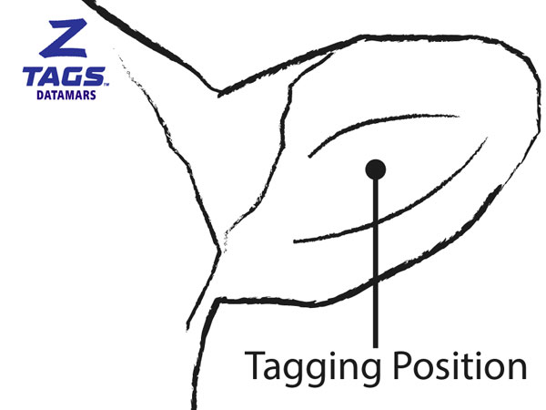 Z Tag Z2 No Tear Tagger | vetnfarm.com