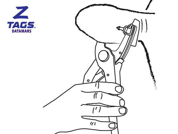 Z Tag Z2 No Tear Tagger - vetnfarm.com